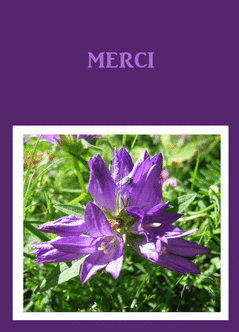 Carte Un Grand Merci Avec Une Rose : Envoyer une vraie Carte ...